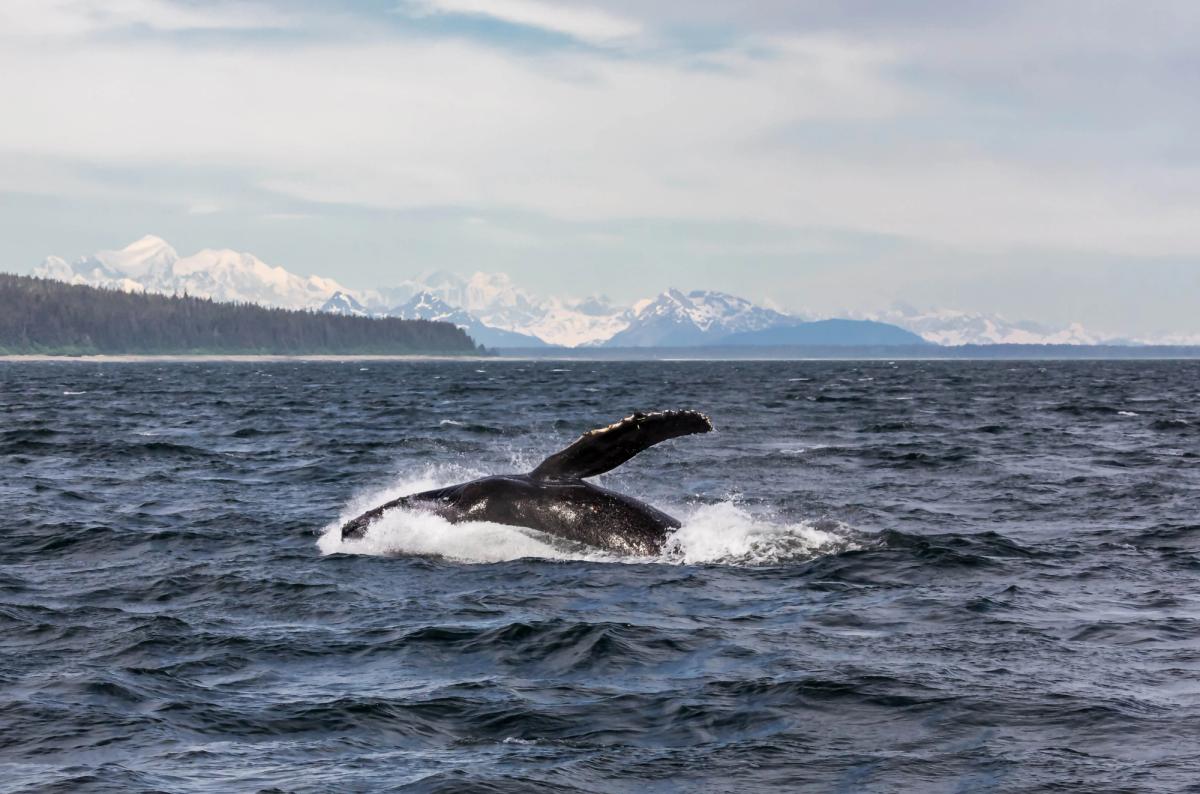 Crystal Serenity - Vancouver to Seward (Anchorage, Alaska) | Crystal ...